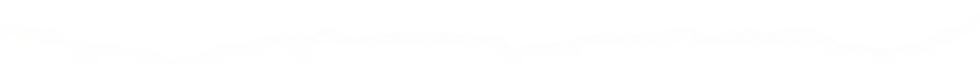 Bihasa Consultancy | About Us