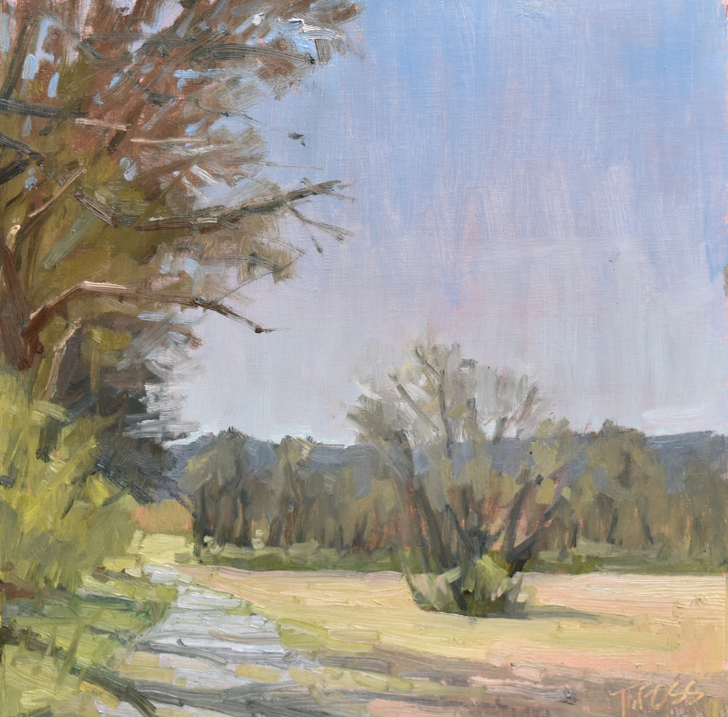 Painter | Franklin | Tiffany Foss Fine Art