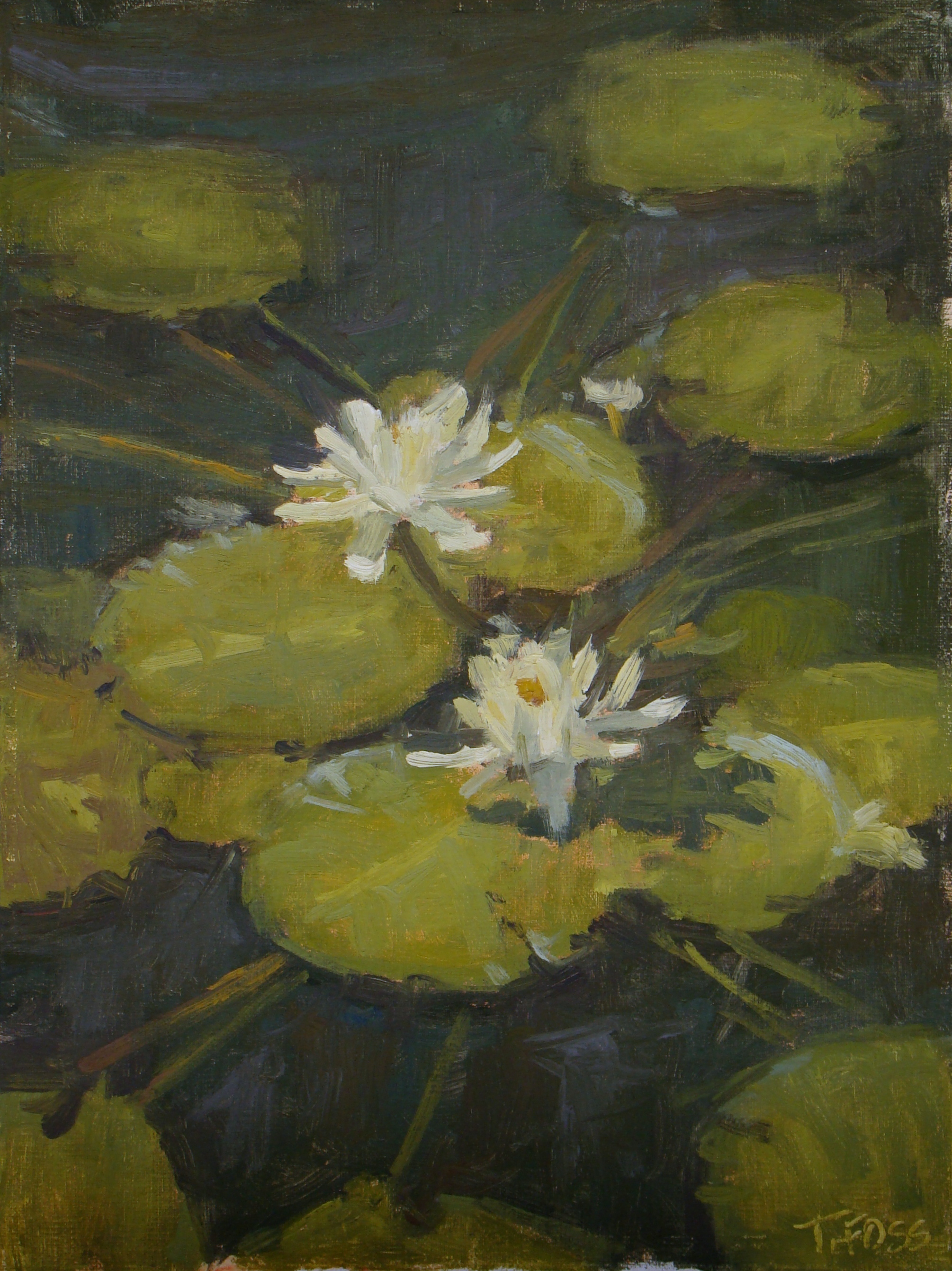 Painter | Franklin | Tiffany Foss Fine Art