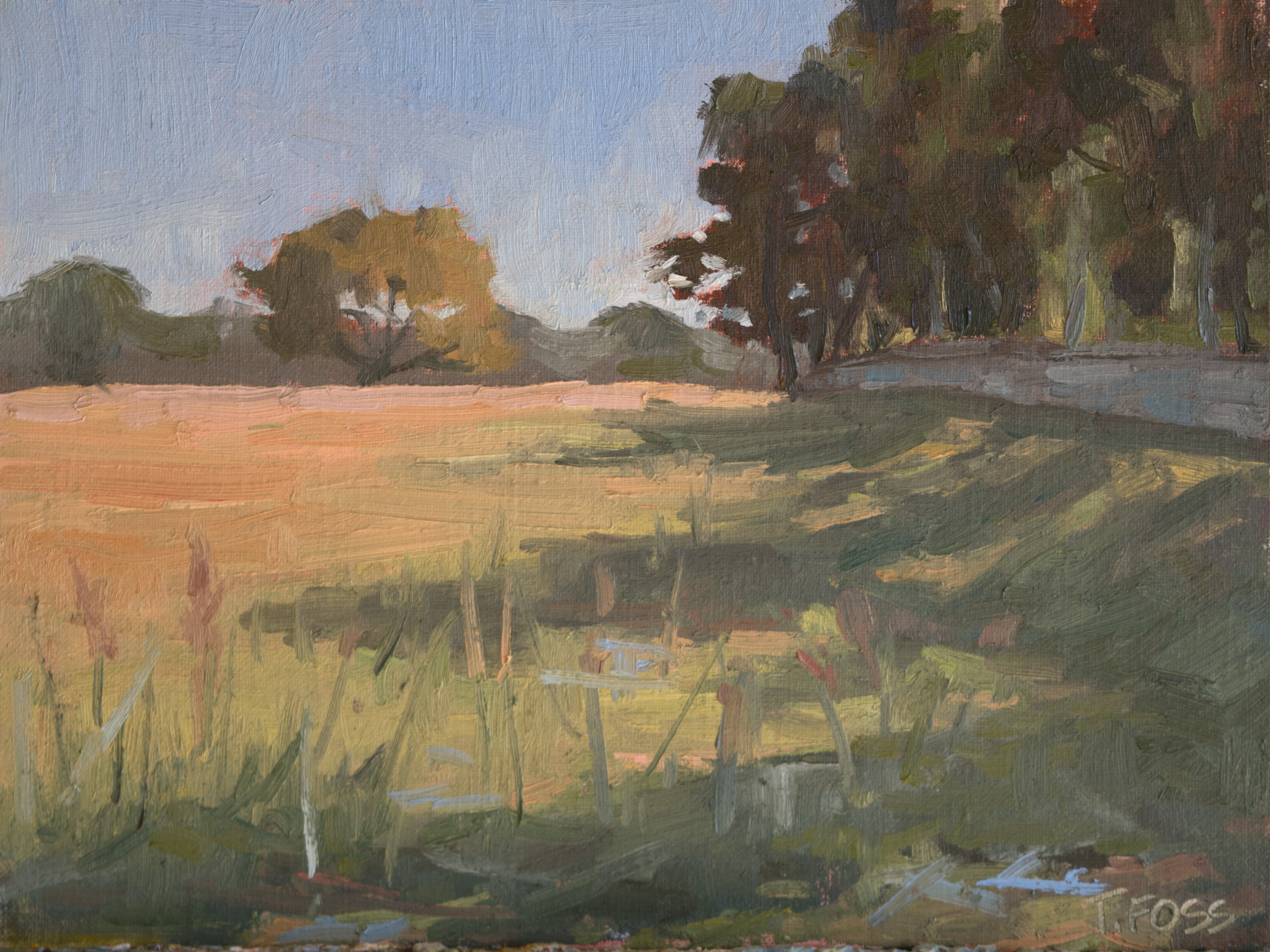 Painter | Franklin | Tiffany Foss Fine Art