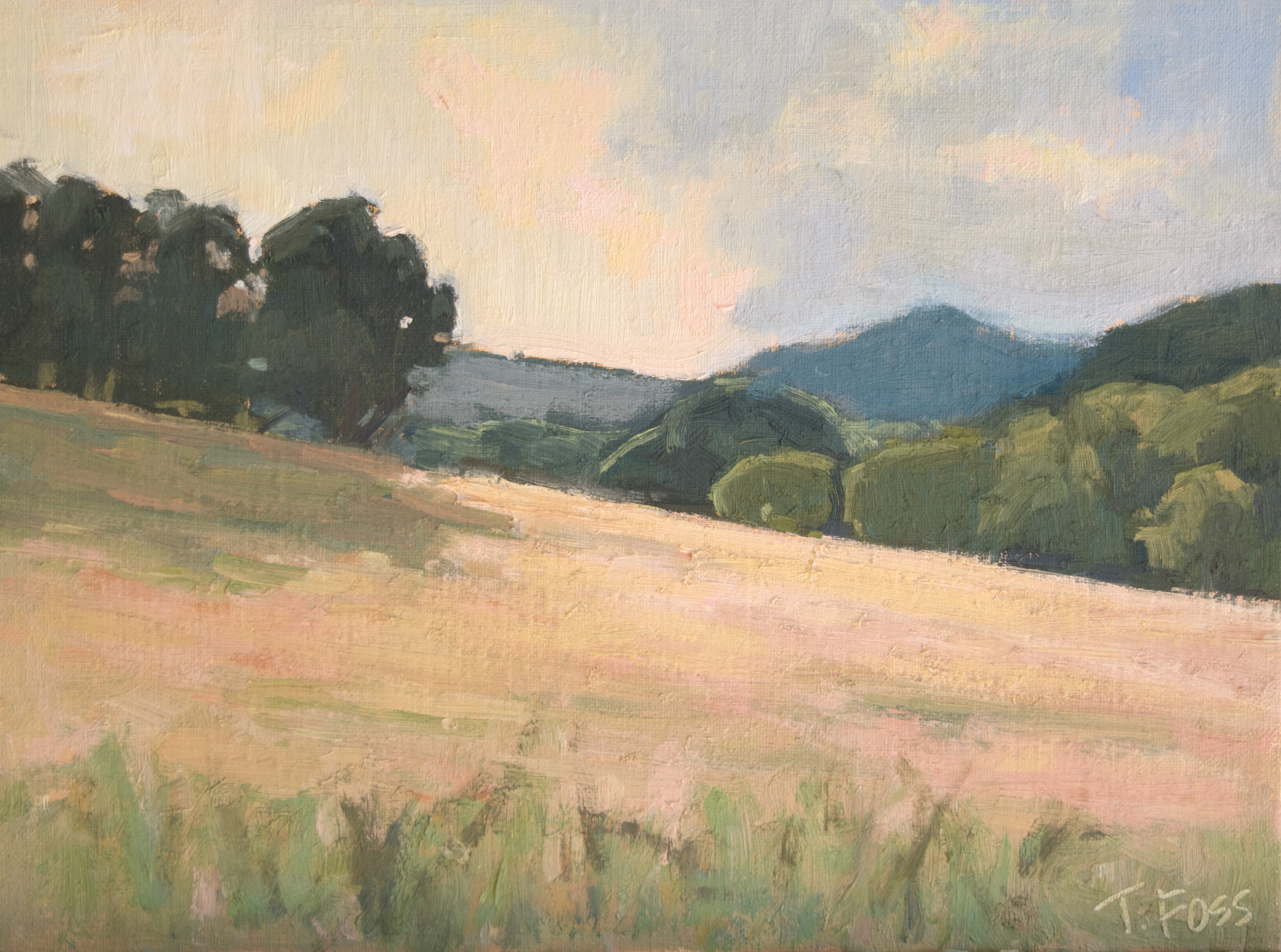 Painter | Franklin | Tiffany Foss Fine Art