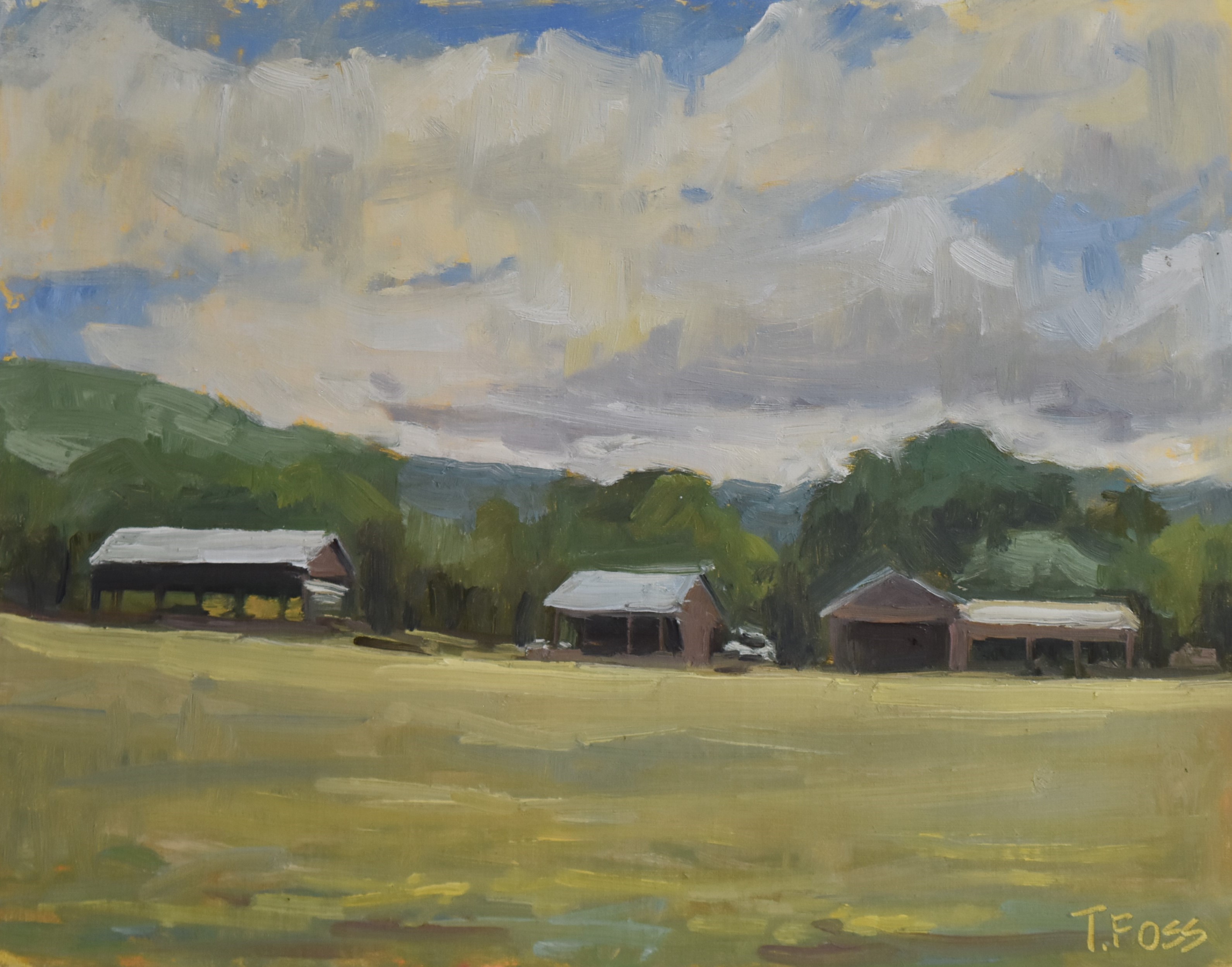 Painter | Franklin | Tiffany Foss Fine Art