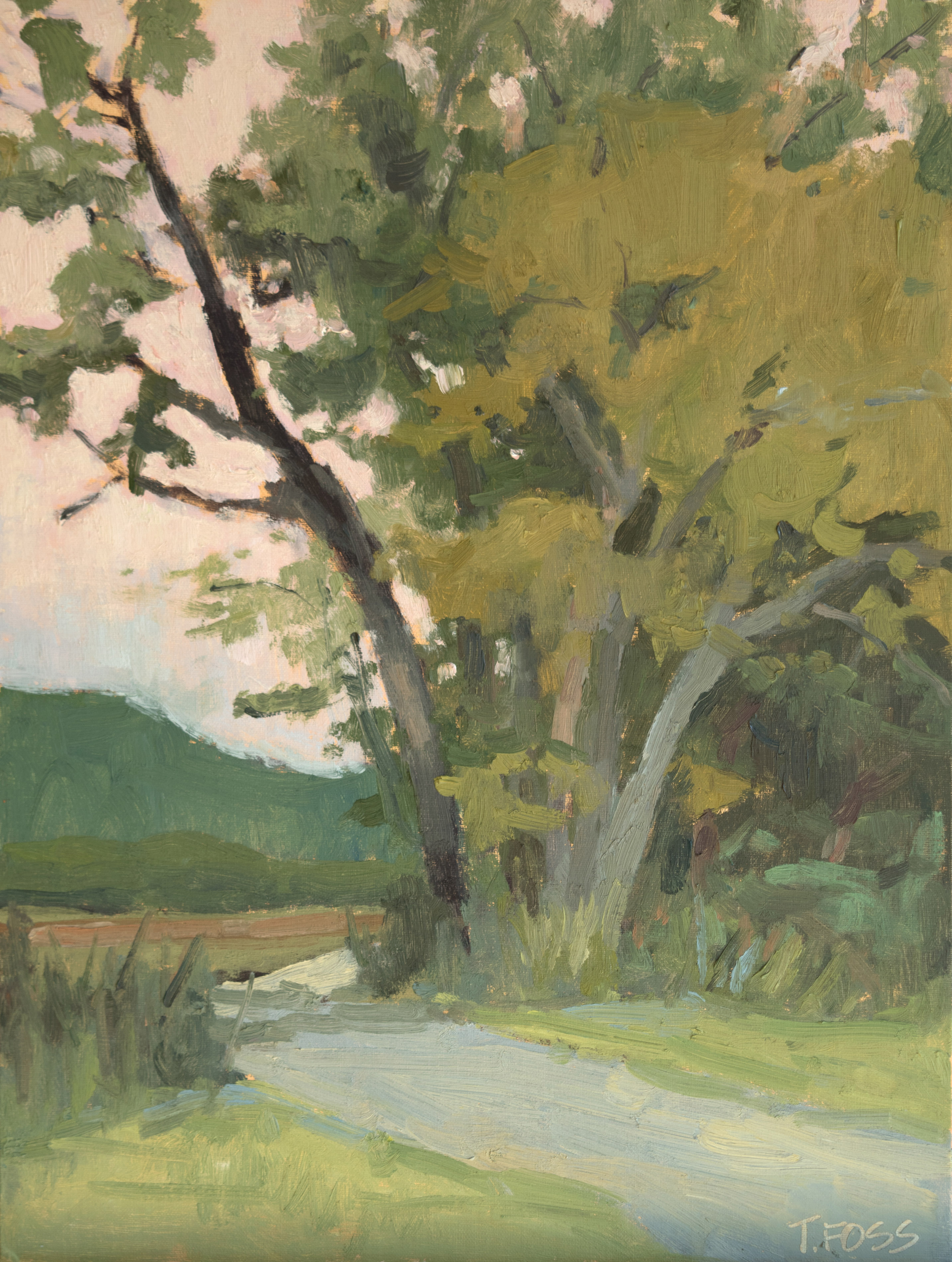 Painter | Franklin | Tiffany Foss Fine Art