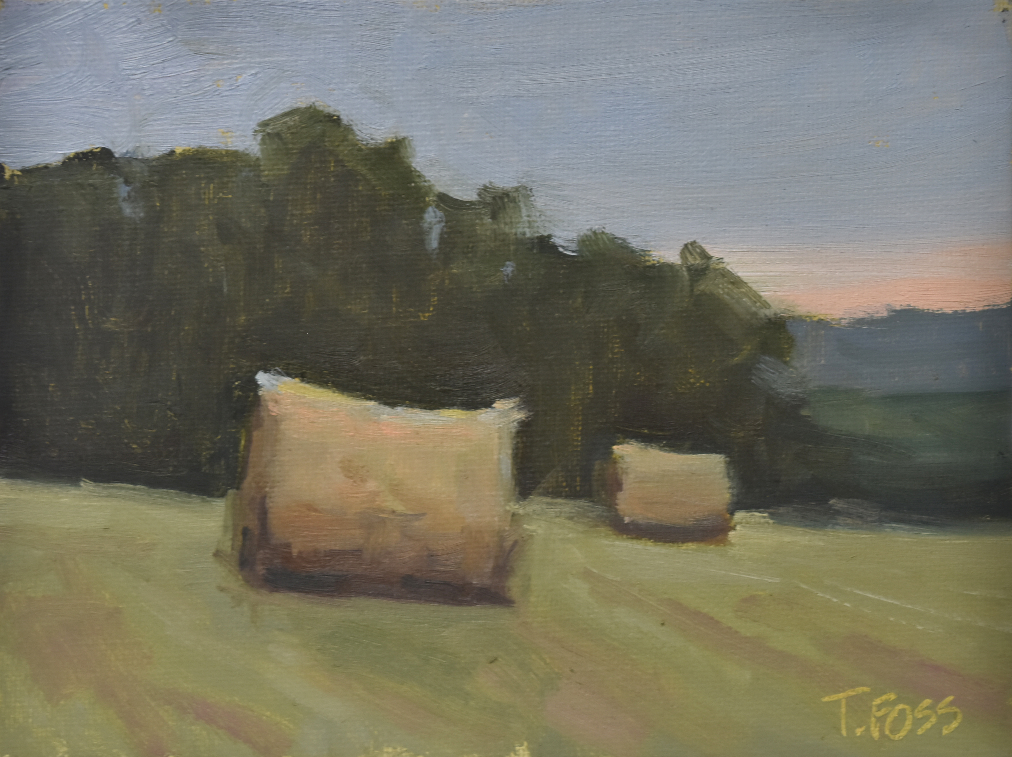 Painter | Franklin | Tiffany Foss Fine Art