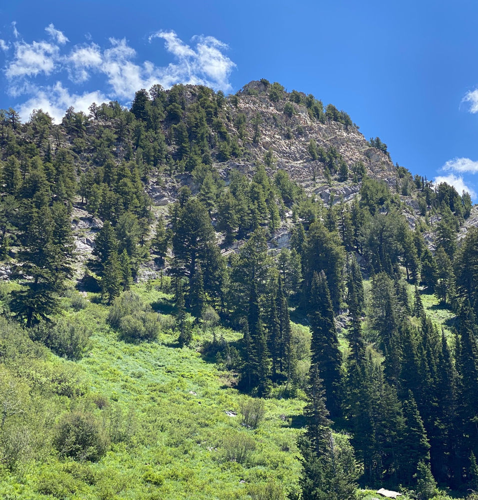 Mt. Raymond Summit from Mill Creek