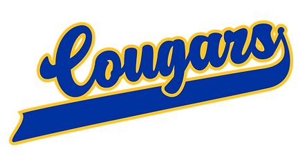 Script with tail Logo | Visualidentity2