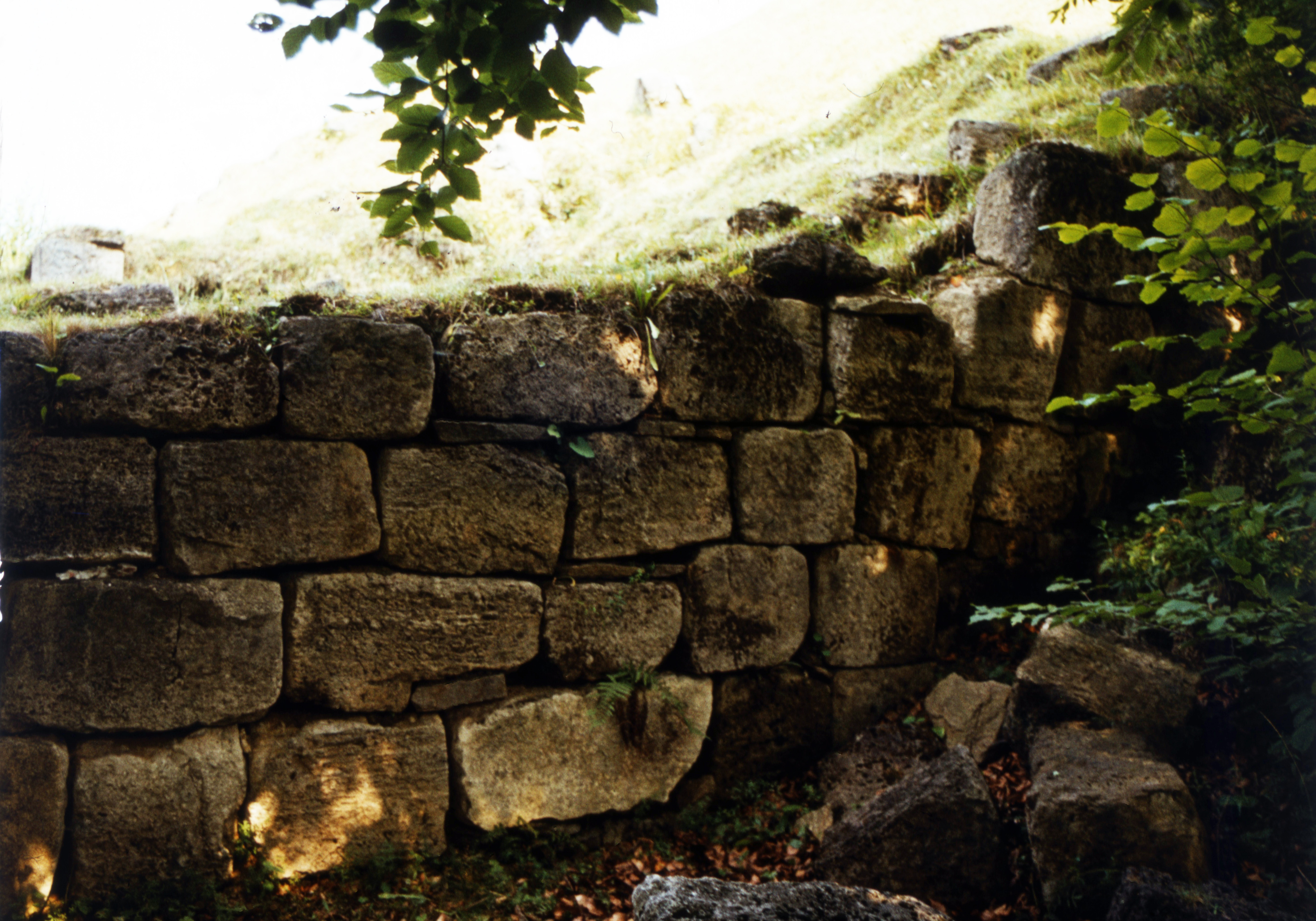 Daker | Weltreisender | Peter Hertel