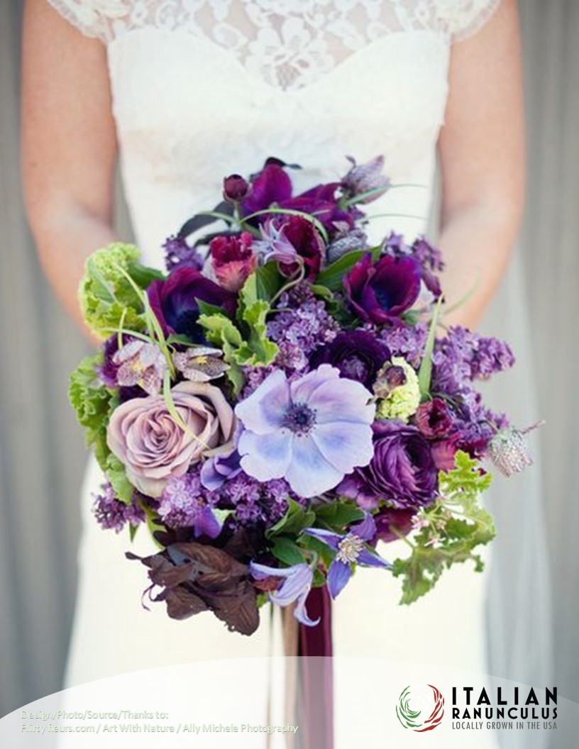 Mistral Anemone | italian-ranunculus