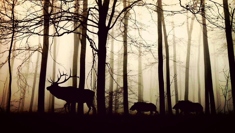 Die Wilde Jagd
