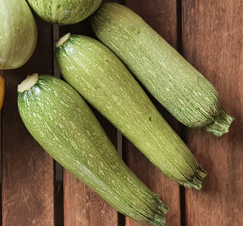 Seeds - Zucchini Lebanese | Heirloom Naturally