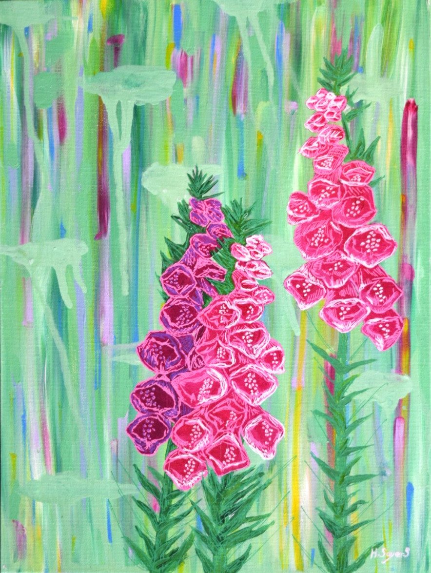 Wildflowers of Kerry | Sayers Studio