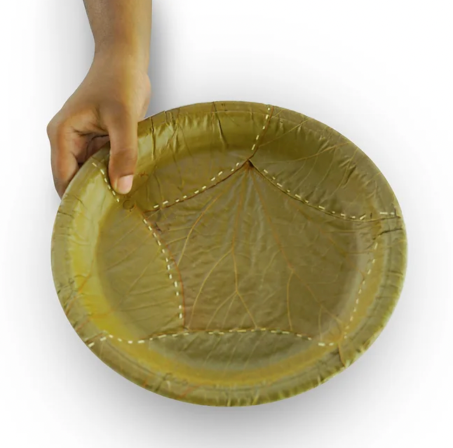 Products | taru-veda | Palash Leaf Plates