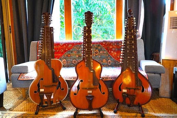 Slide Guitars For Sale | website