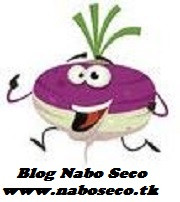 Blog Nabo Seco - Um blog fora do normal!
