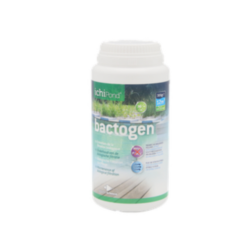 Bactogen 12000 | Magikoï