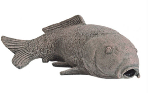 Deco filter Carpe | Magikoï