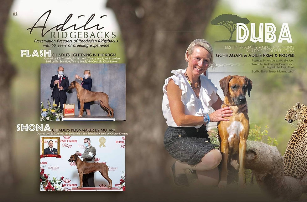 Flash | Adili Ridgebacks