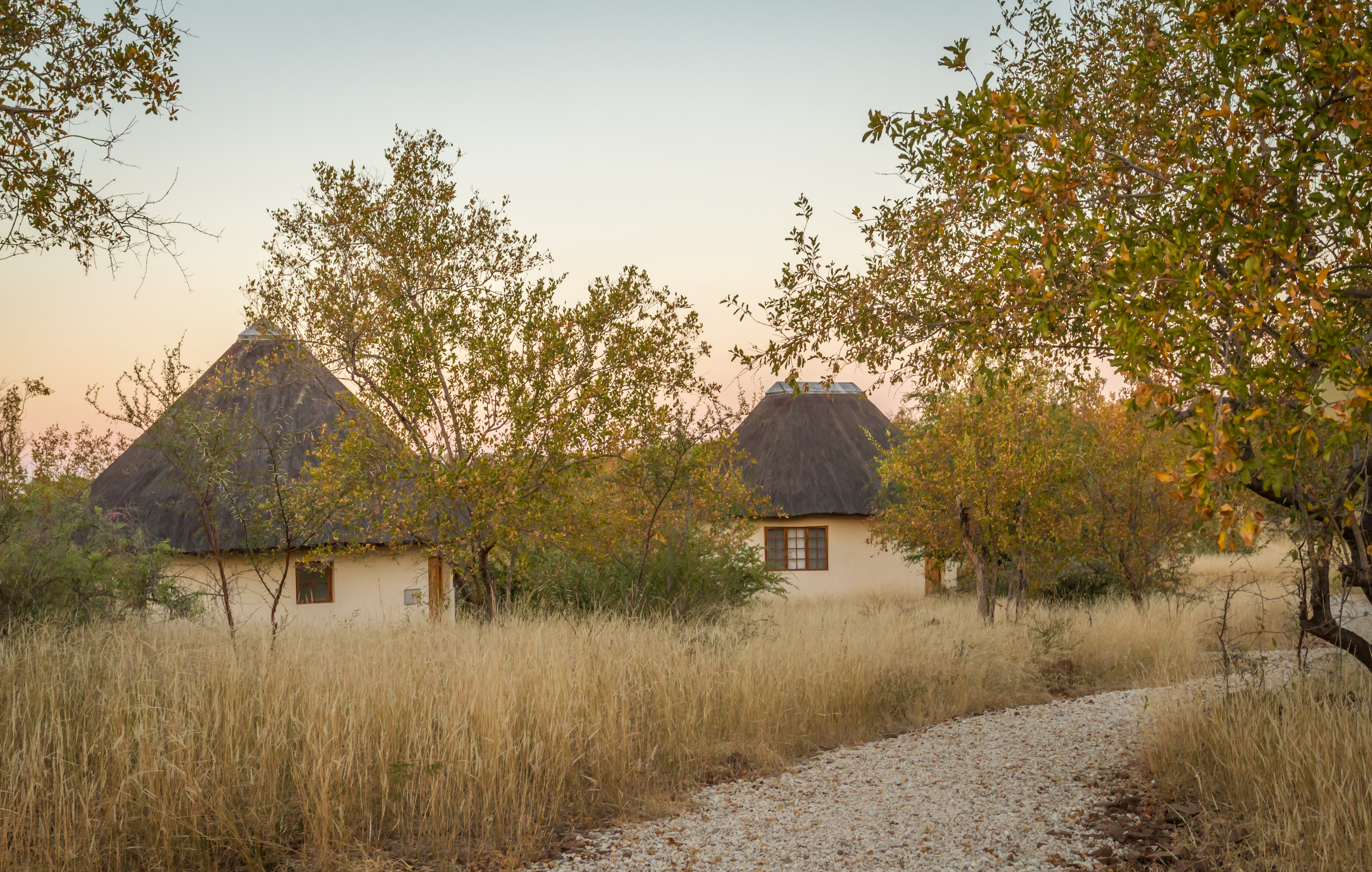 GALLERY | Mbizi Bush Lodge
