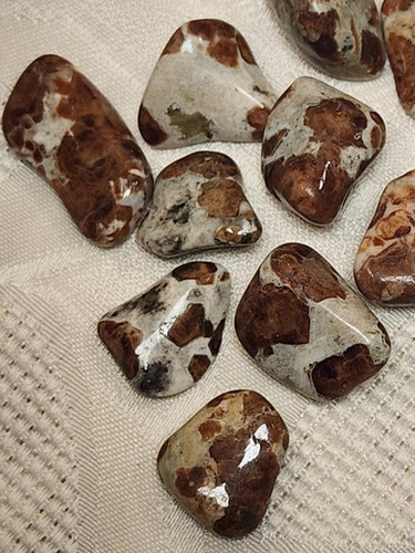 Garnet in Limestone | poconorockshop