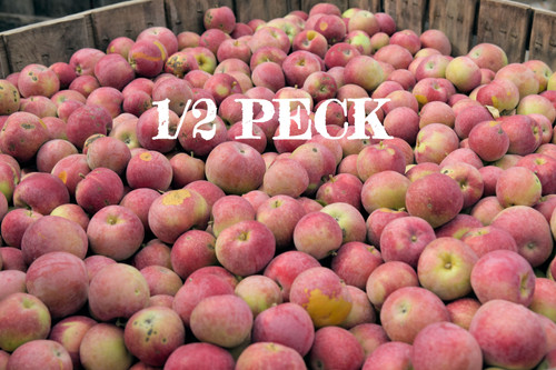 APPLES - HALF PECK | Hicks Orchard