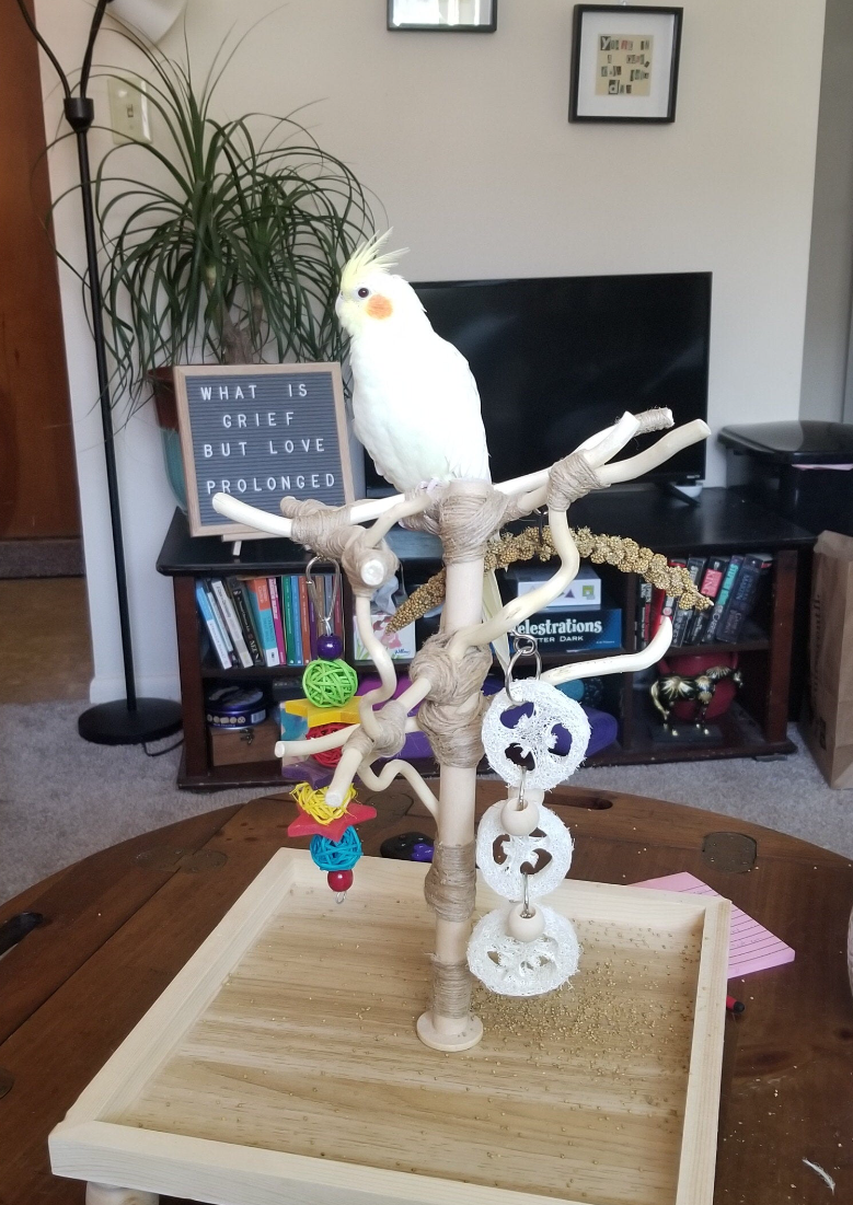 Artistic Habitats | Custom, wood parrot stands