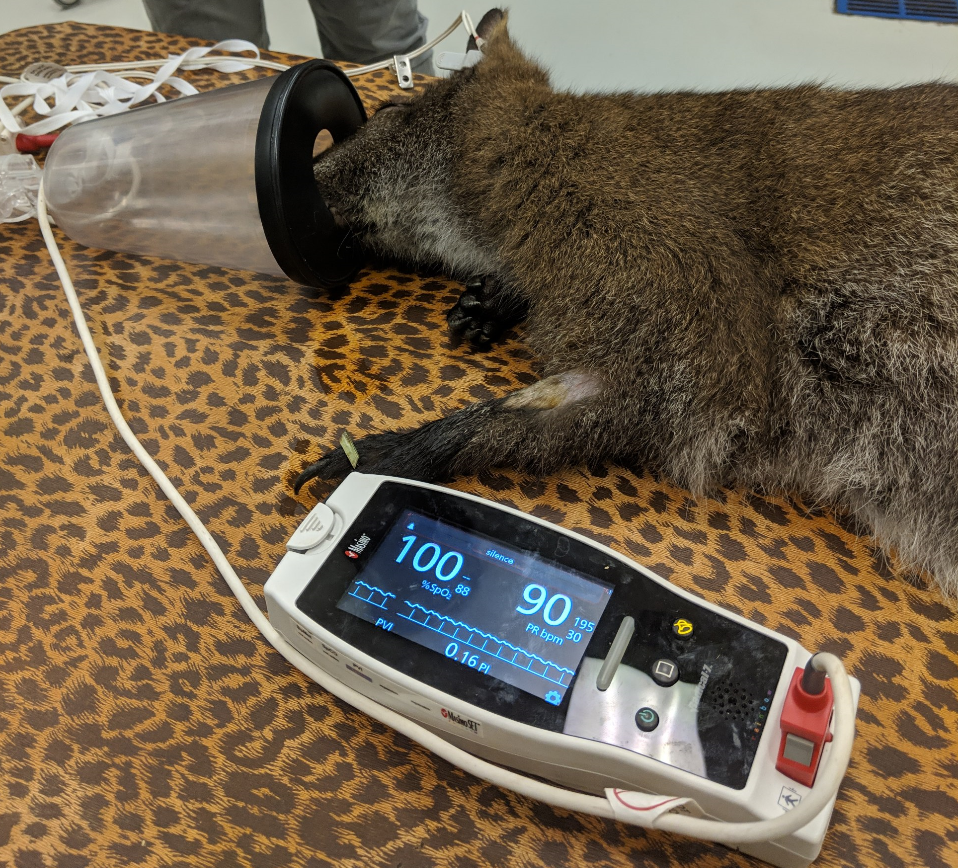 INICIO | TimedMasimo