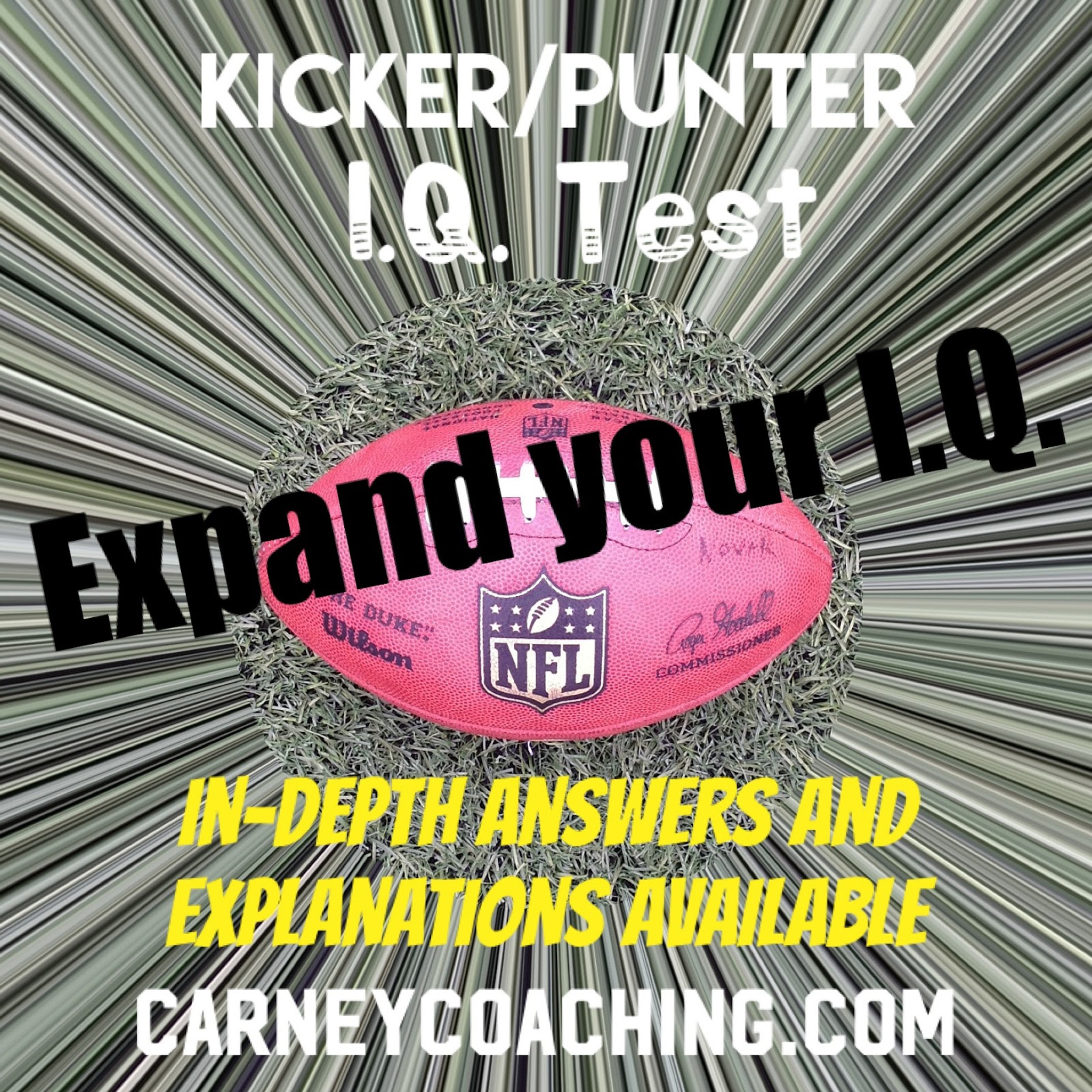 What's Your Kicker/Punter IQ?