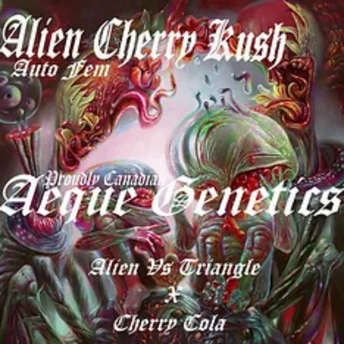 Alien Cherry Kush 3pk (A) | CandyJar Exotics