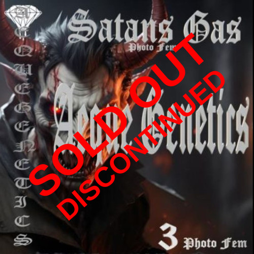 SOLD OUT! Satan's Gas (Boxed) 5pk (F) | CandyJar Exotics