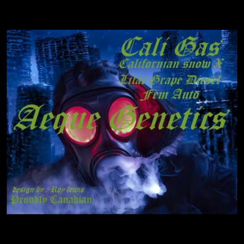 Cali Gas 3pk (A) | CandyJar Exotics