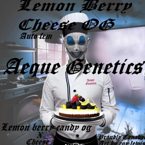 Lemon Berry Cheese OG 3pk (AF) | CandyJar Exotics
