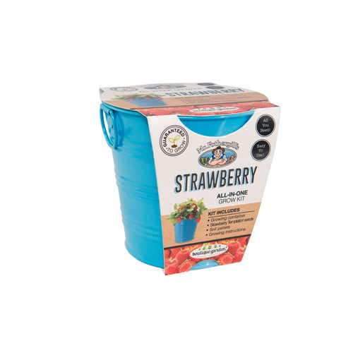 OSMS Strawberry Grow Kit | AWCPD