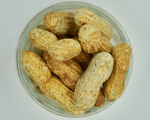 Peanuts Jumbo in Shell | Kind and Plenty