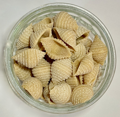 Pasta Shells Durum Semolina (Organic) | Kind and Plenty