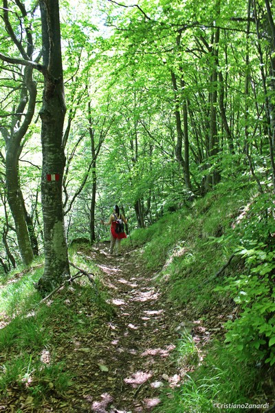 L'anello del Monte Giarolo
