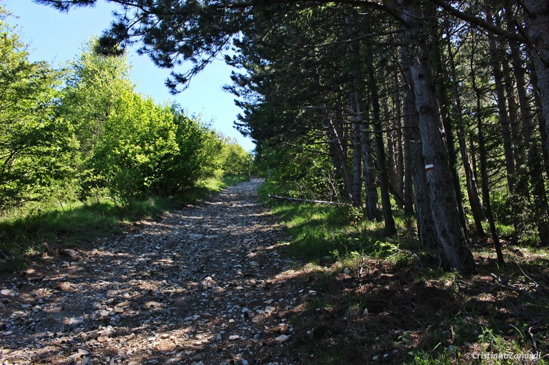 L'anello del Monte Giarolo