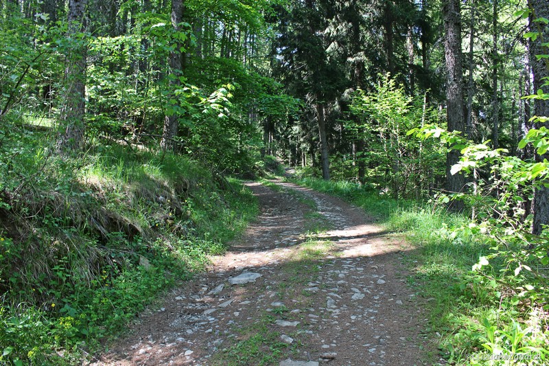L'anello del Monte Giarolo