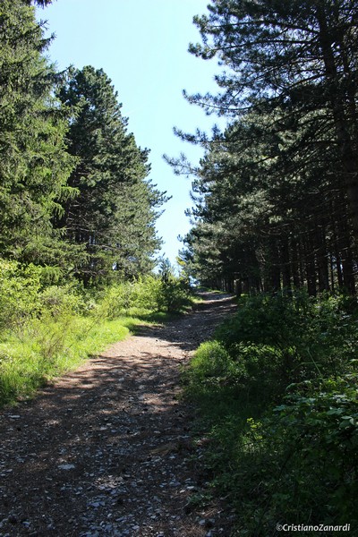L'anello del Monte Giarolo