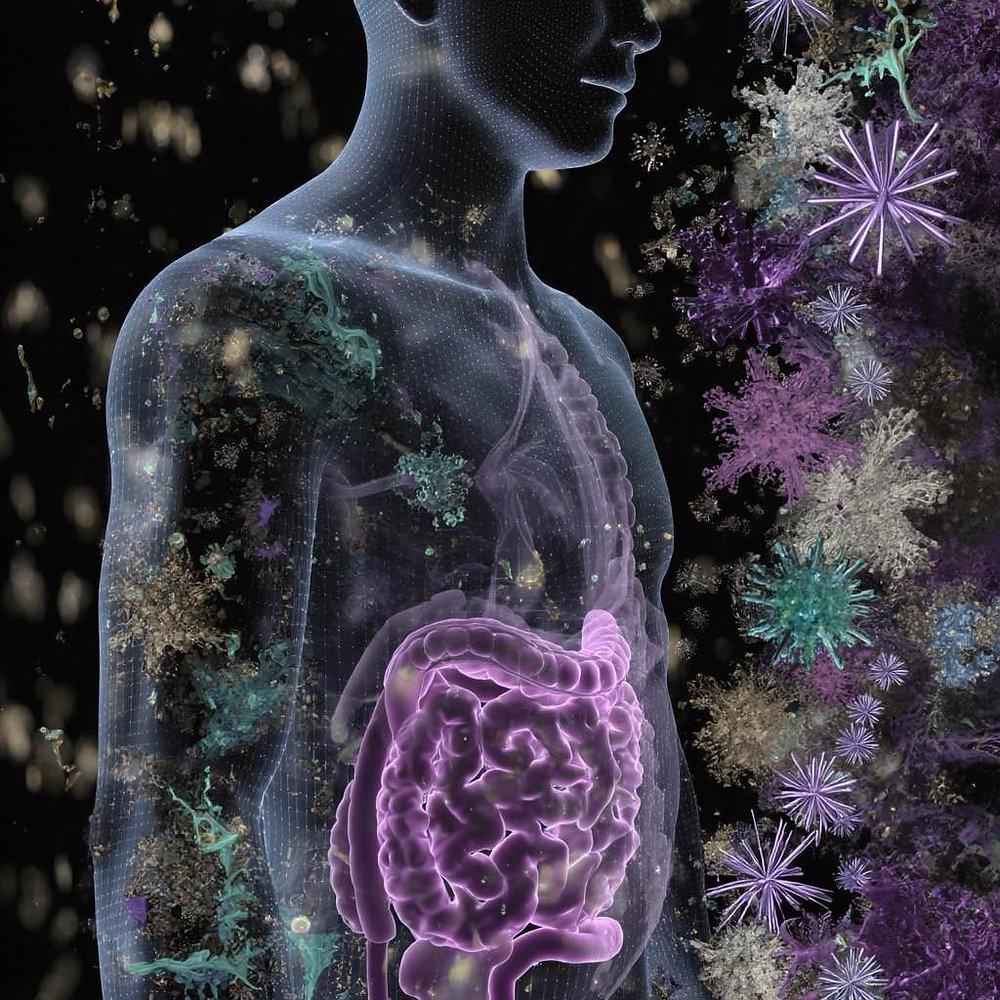 Good Microbiome: A sign of ‘healthy aging’