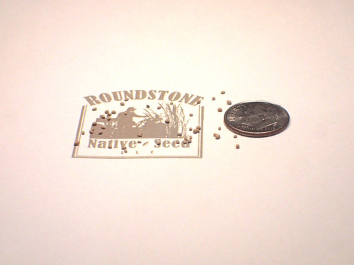 Bermuda Grass | Roundstone Native Seed | Livestock Forage | Turf ...