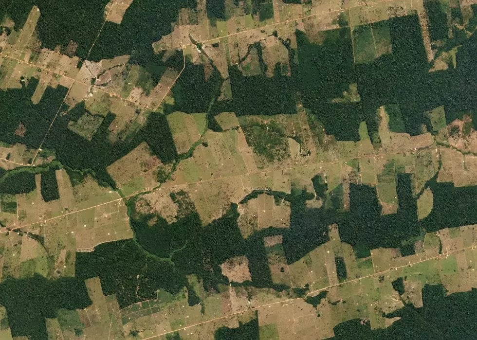 Unseen Tribes: The Uncontacted Peoples Of The World That You Probably ...