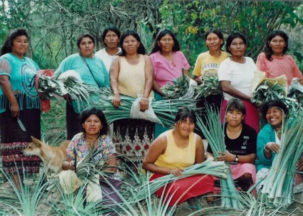 Unseen Tribes: The Uncontacted Peoples Of The World That You Probably ...