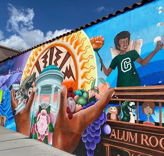 Alum Rock Village Action Committee | Neighborhood Association | San ...