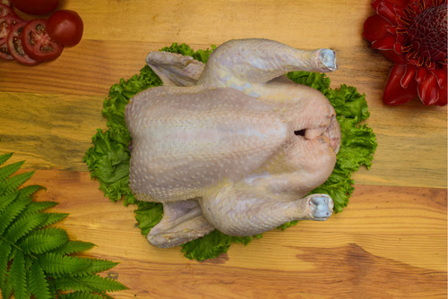 Pollo criollo | Alimentos KAE