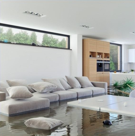Essential Water Damage Prevention Tips for Gold Coast Homeowners