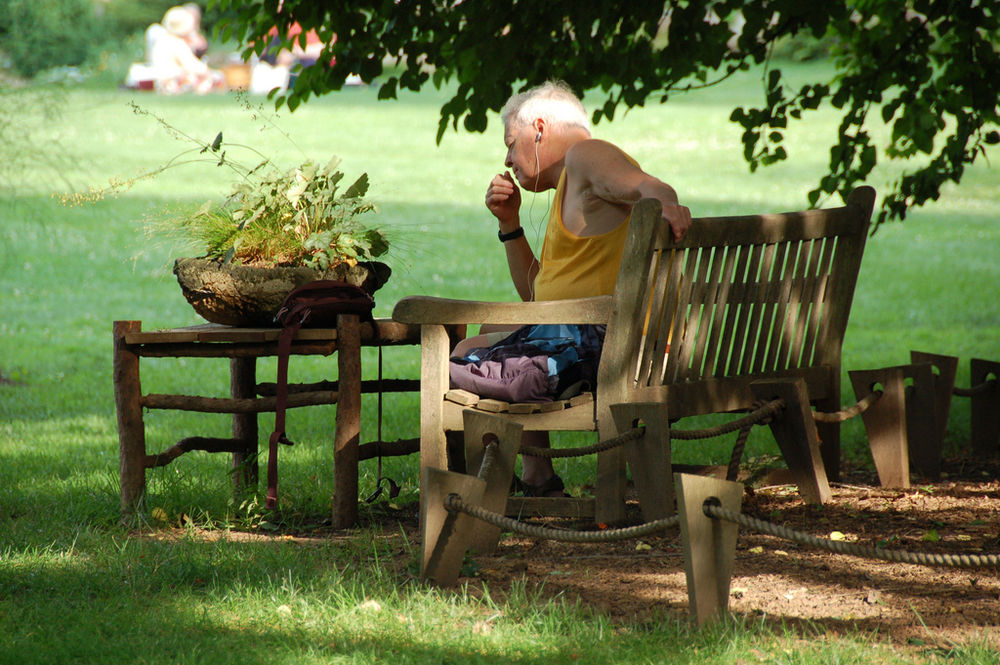 The Contemplative Garden