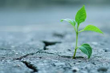 Self, hope, control, and healing