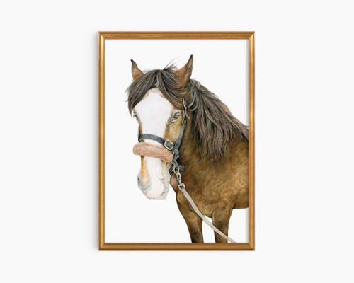 Bonnie the Shire Horse | Emily Morgan FineArt