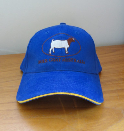 BGA Logo Cap Blue | Boergoataustralia