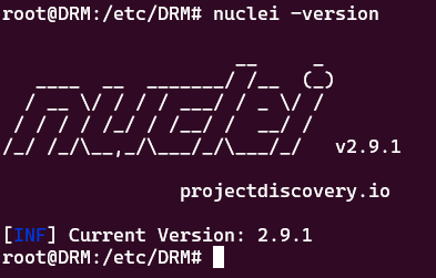 NUCLEI | Web Vulnerability Scanner